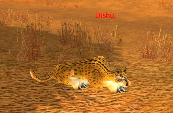 Glimpses of Azeroth: Druid lookalike kitty: Dishu