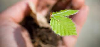 A GLIMPSE ON ECOSYSTEM: IMBALANCE ON ECOSYSTEM