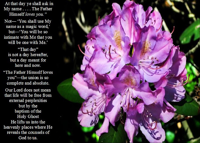 Eyes on CHRIST-May Devotions