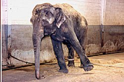 Life Assurance: Breaking the rope