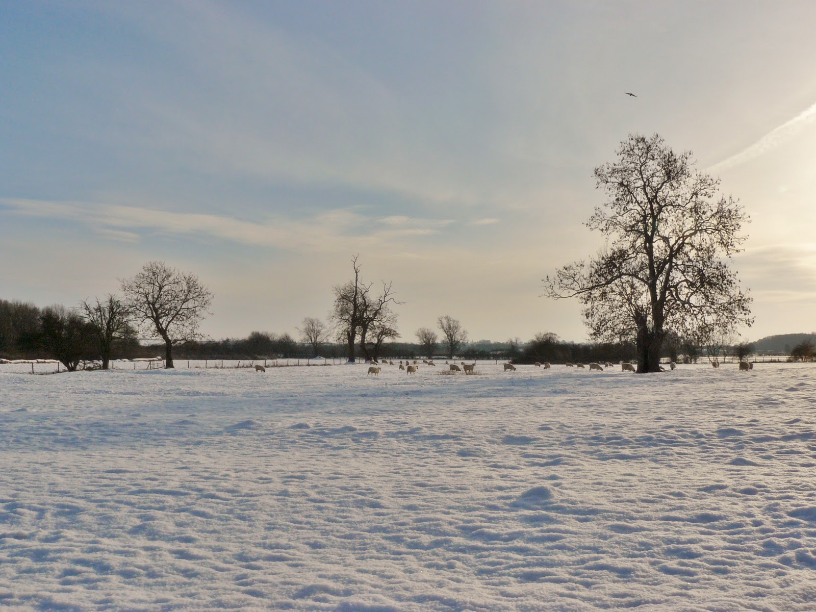 Martin Brookes Oakham: Snow in the British Countryside Egleton Rutland ...