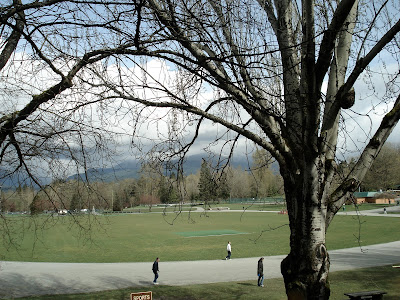 Oh My Calico!: McGill Library - Burnaby