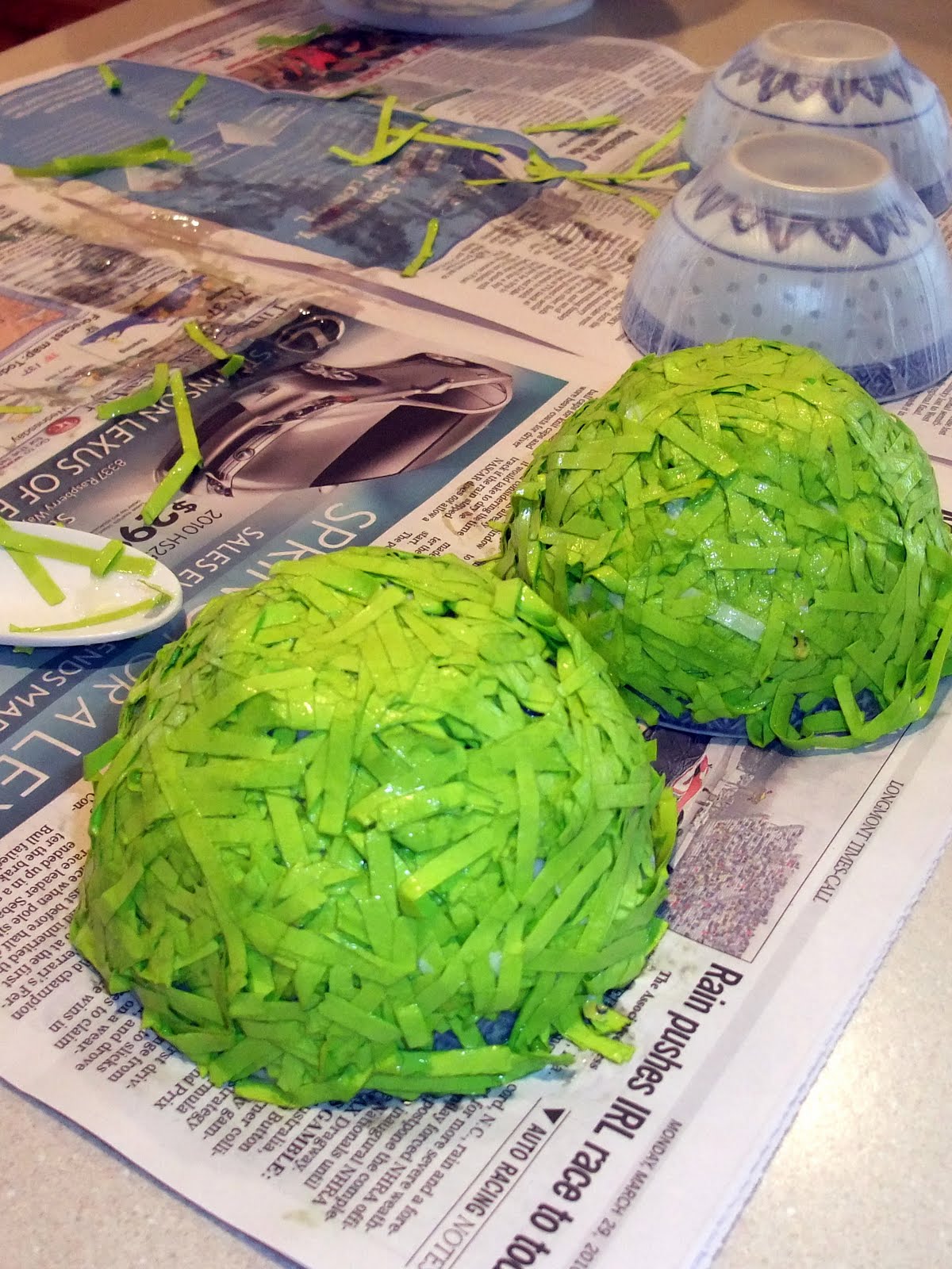 Just Another Hang Up: Shredded Paper Nests