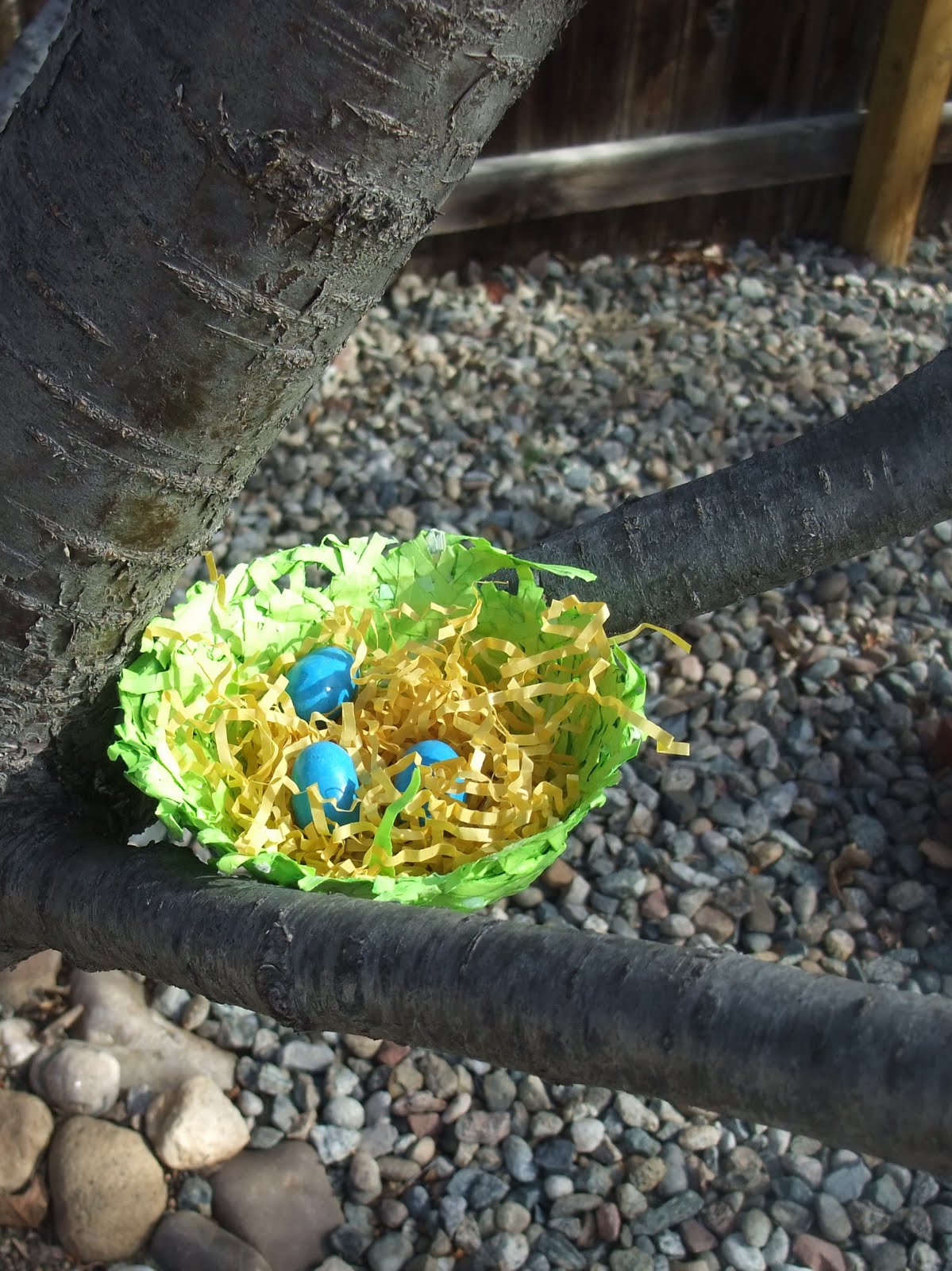 Just Another Hang Up: Shredded Paper Nests