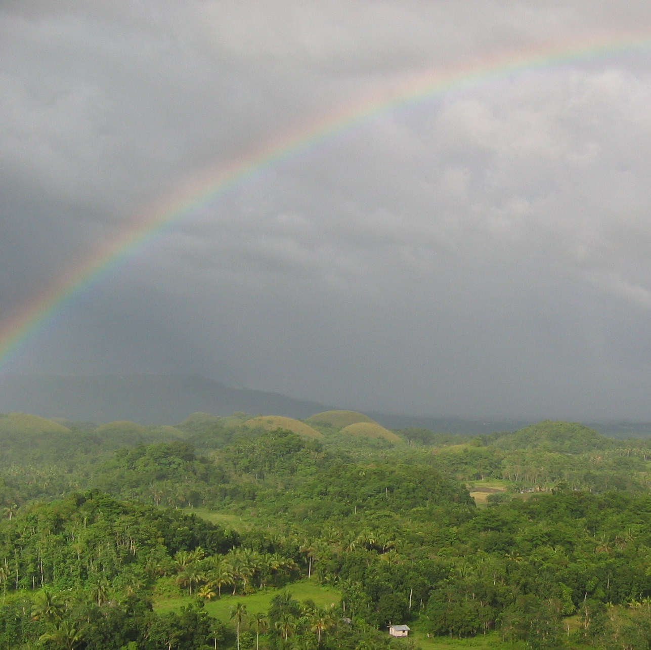 Montreal to Mayumi: Chocolate hills, butterflies and rainbows