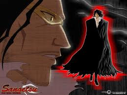 CAPTAIN ICHIGO: Bleach pictures