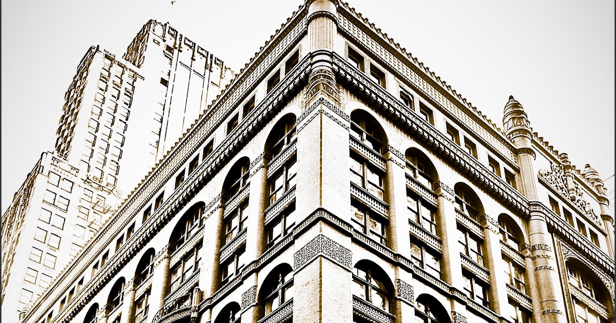 Photo of the Day: The Rookery