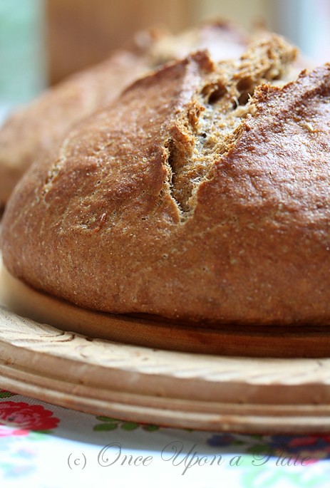 Once Upon a Plate: Healthy No-Knead Whole Wheat Bread and My Grain Mill