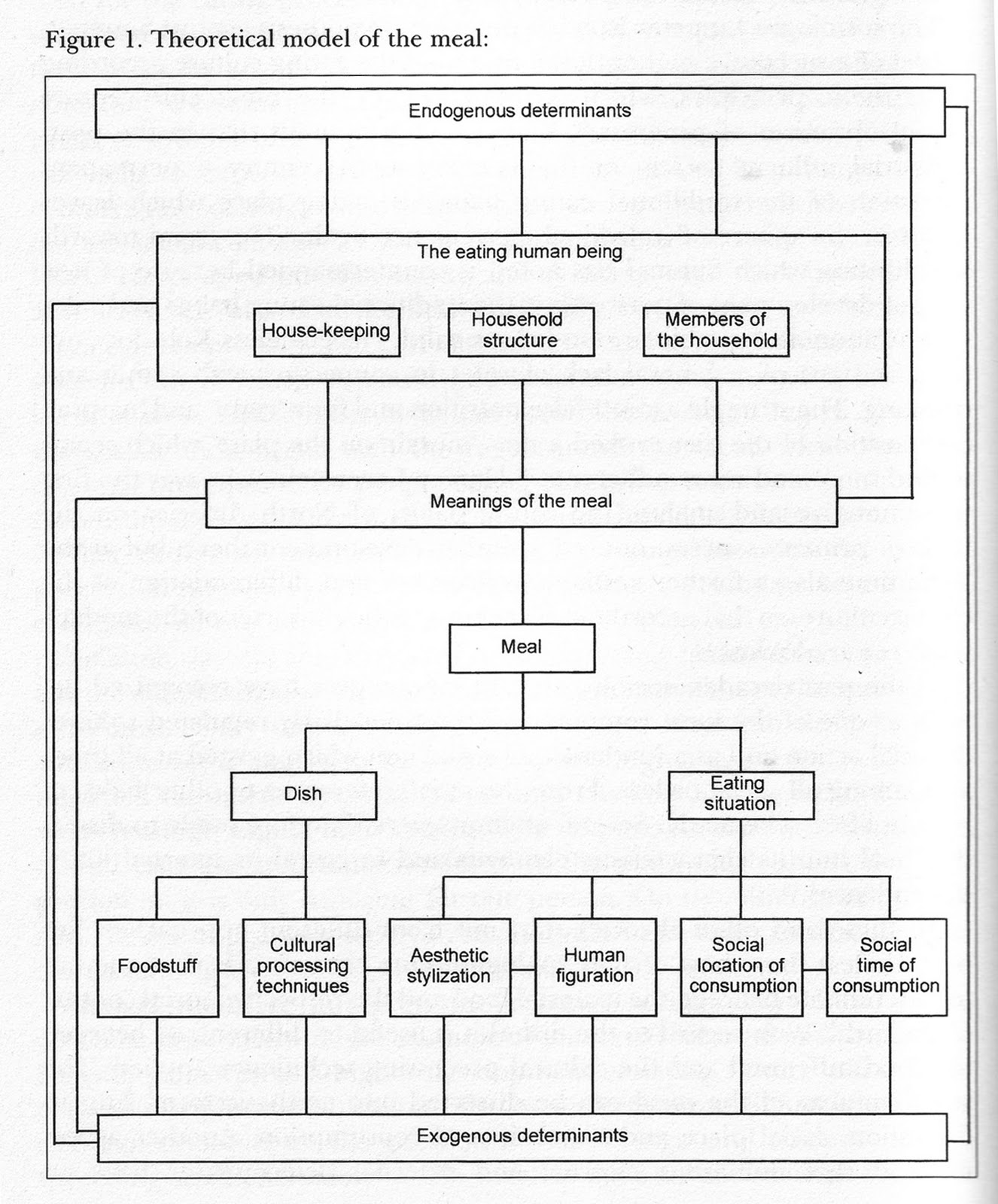 Gastroporn & Food Media Materiality: More on Food