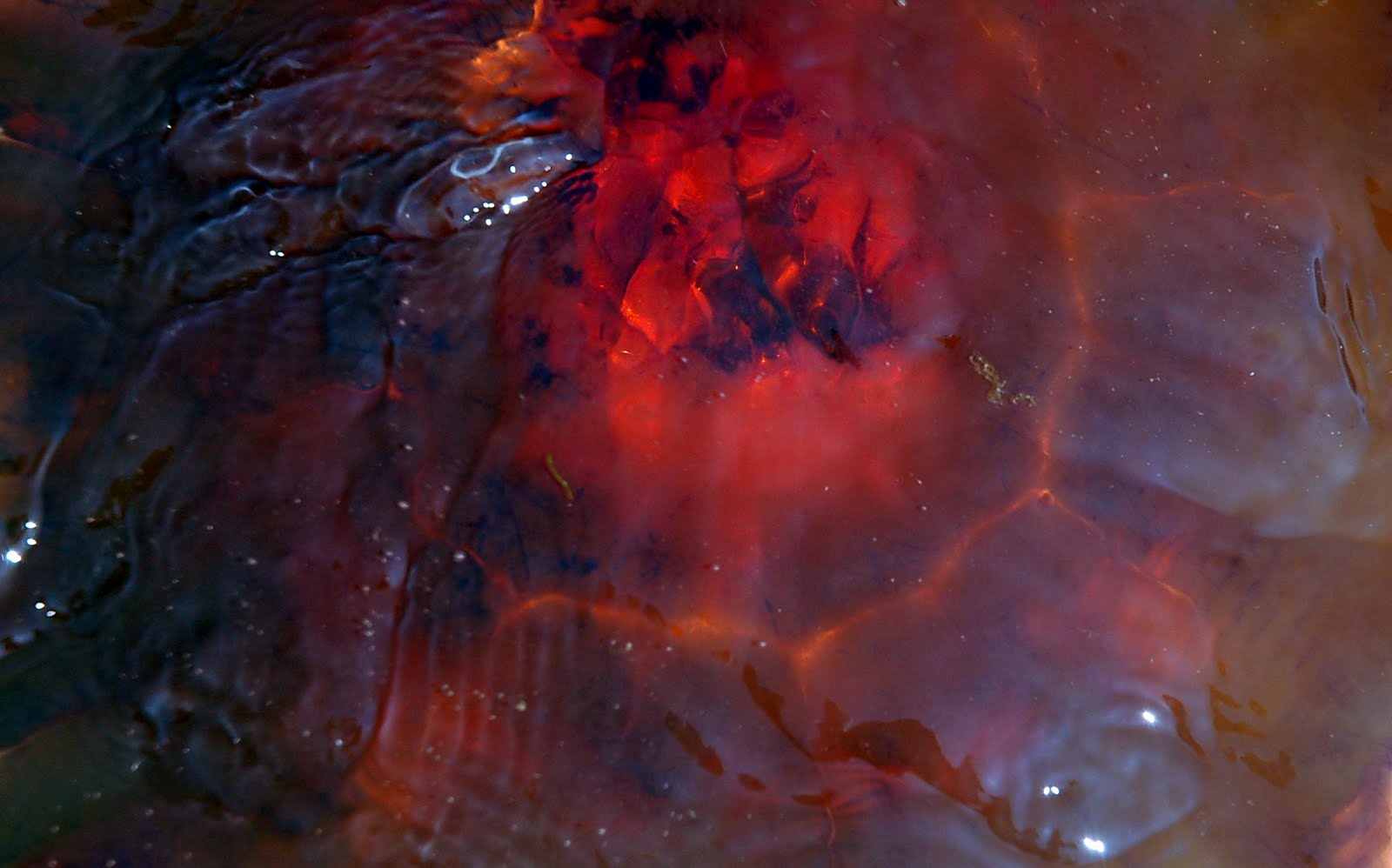 Imagination Lane: Weird Water