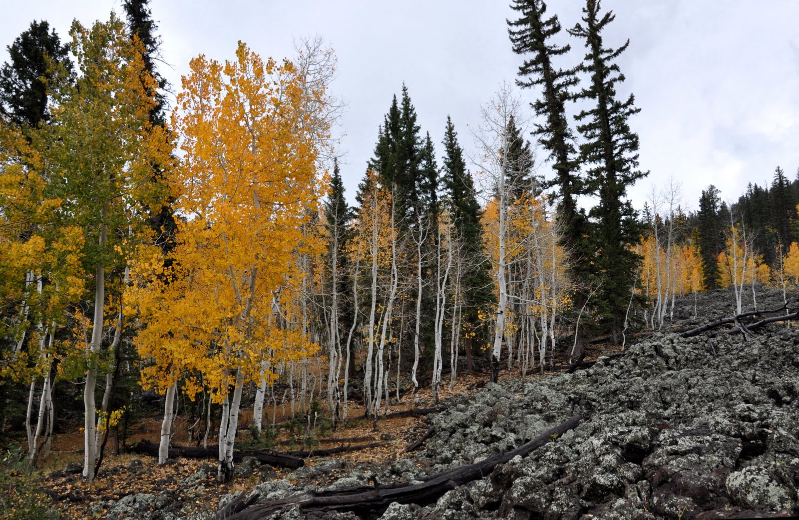 Imagination Lane: Utah's National Parks