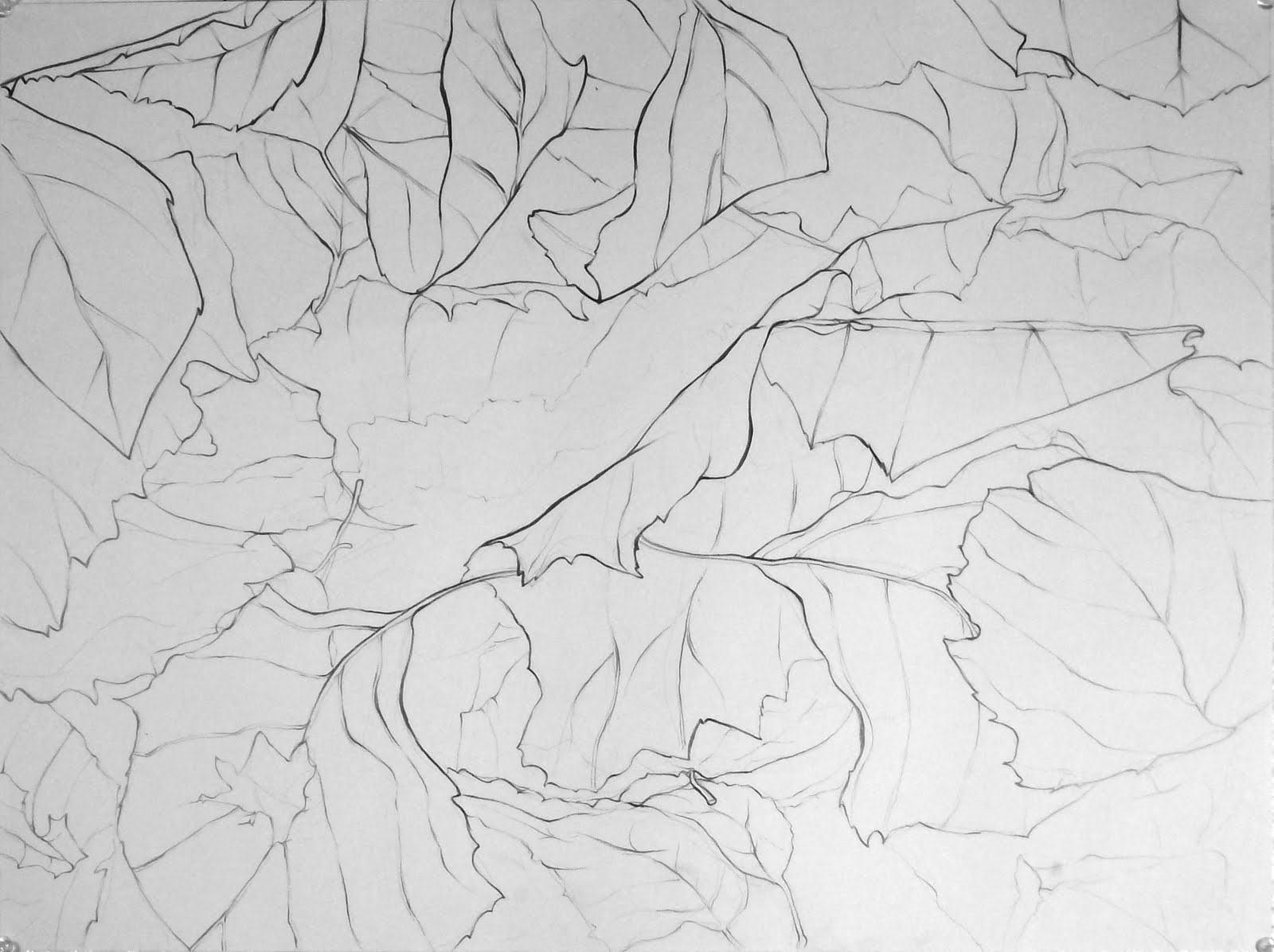 FD 100G: Controlled Contour: Plants