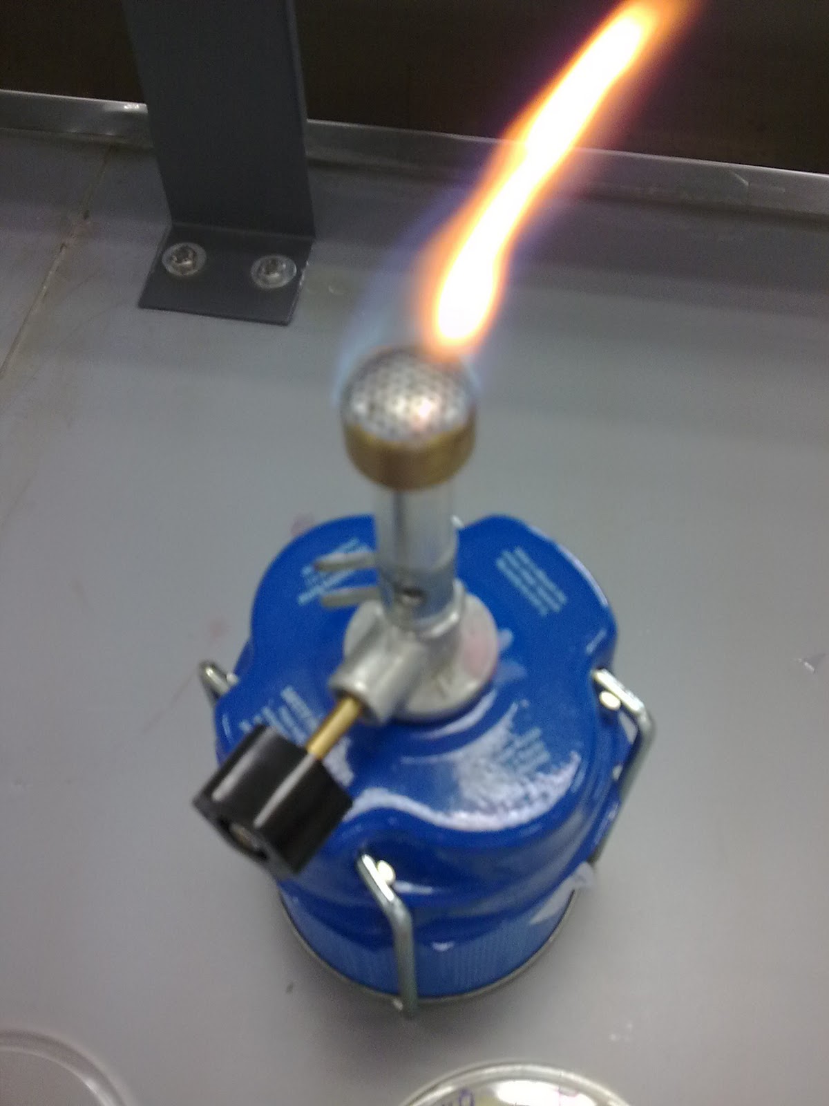 HARPACTIRINAE BIOTECHNOLOGY: Gram stain~~