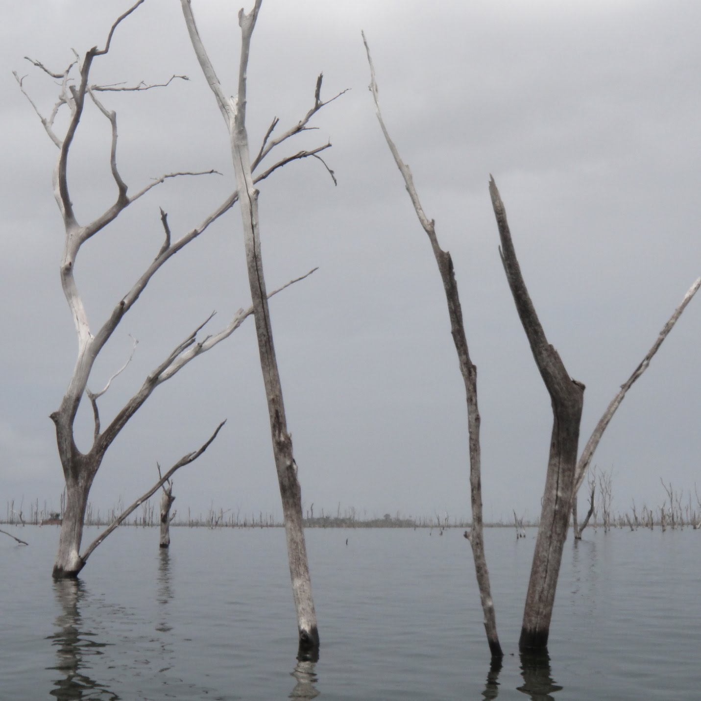 B a s b l o g •: Het prof. dr. ir. W.J. van Blommesteinmeer