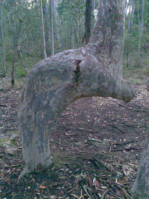 Purono Diner Kotha...: Tree in Ruku'
