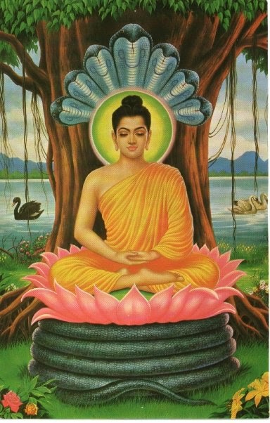Buddha Dharma Deshana & Photos: Photos of Lord Buddha_3