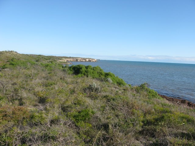 Scott's Australian adventures - The Nullarbor: Leeman, WA - Round and about