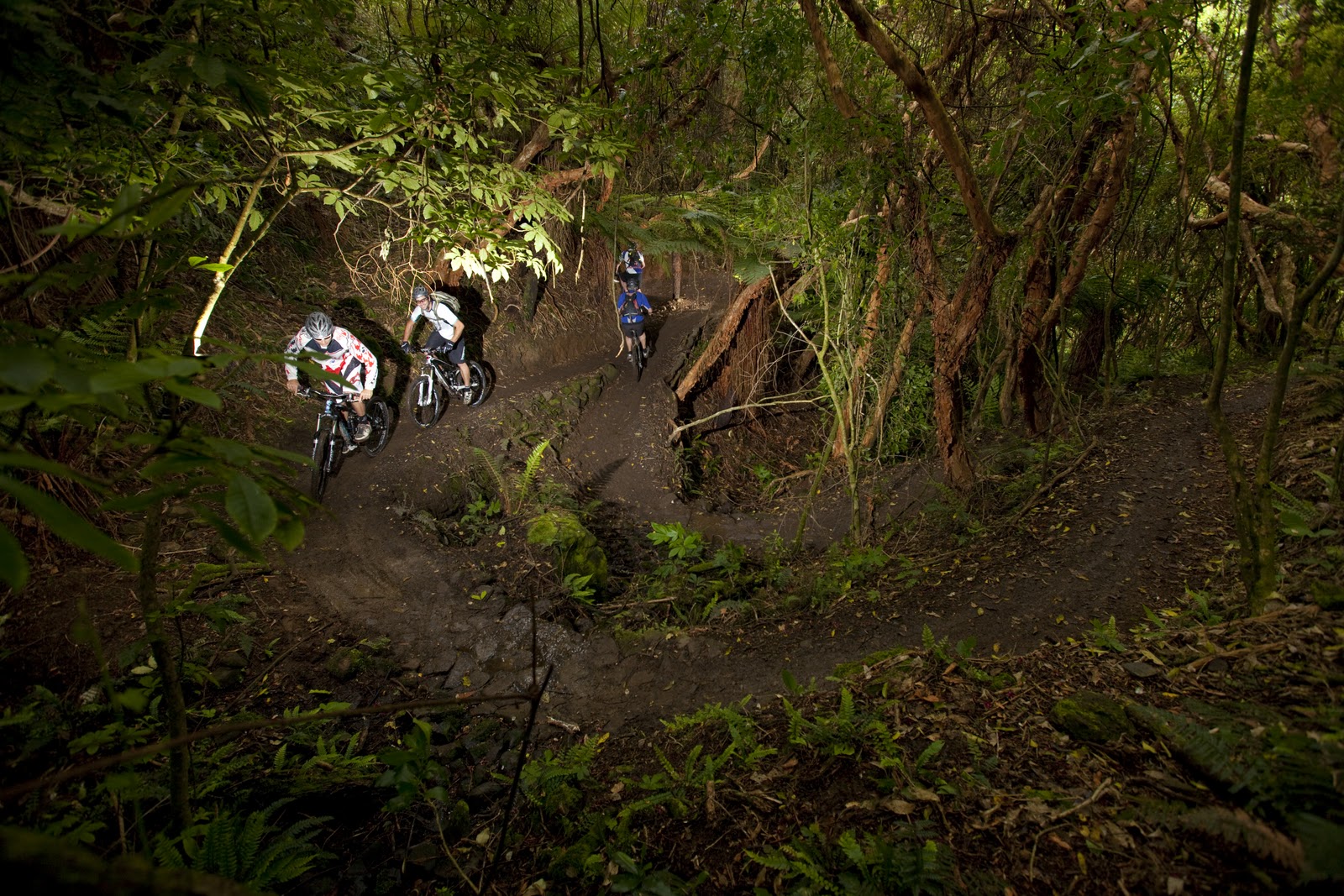 AMB: Nichols Creek, Dunedin. The full story from the man, Hamish Seaton ...