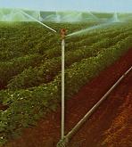 sarusara: Irrigation Methods In Agriculture