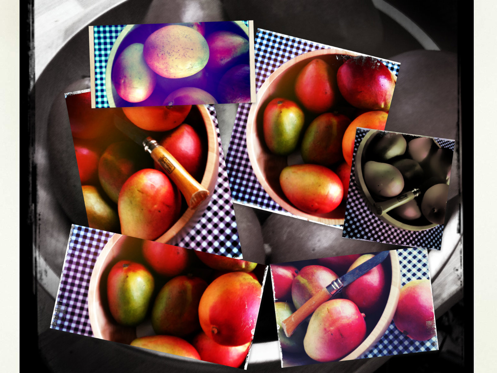 Photo-per-Diem-A Photography Blog: A Collage Of Mango Photos ...