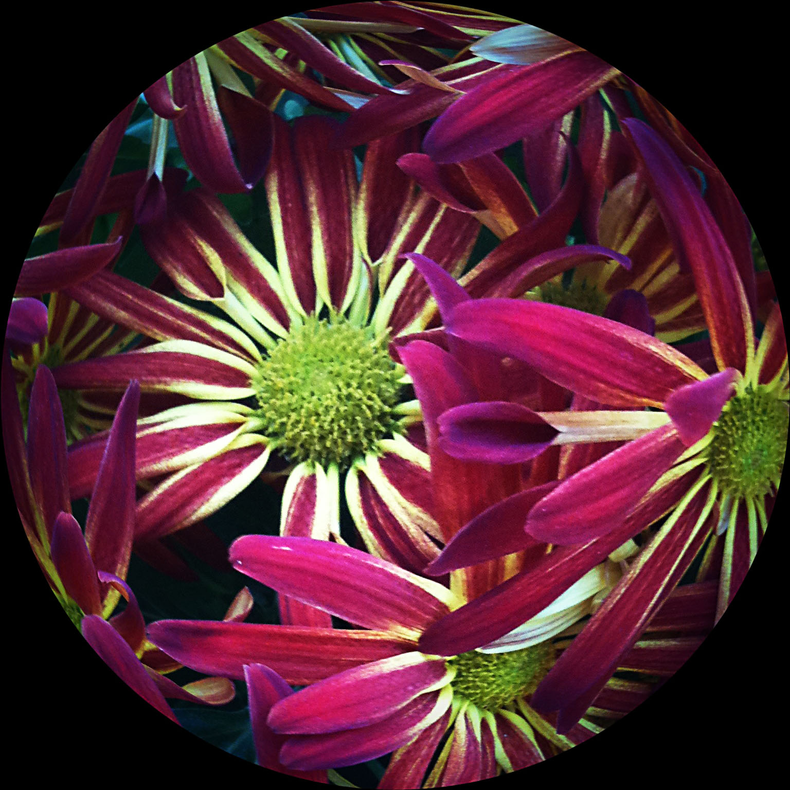 Photo-per-Diem-A Photography Blog: 2010