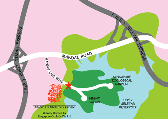 cool image: Boat rides and two Pandas for Mandai Park