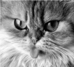 #define KNOWLEDGE FREE: [C/C++] Bitmap Grayscale Conversion