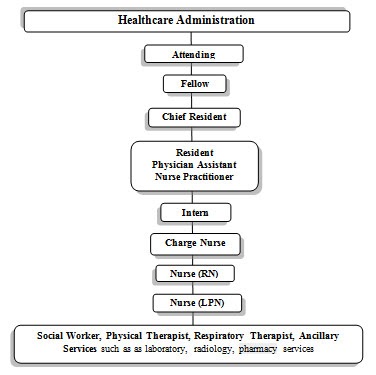 sick girl speaks!: The Professional Chain of Command: An Unofficial Chart