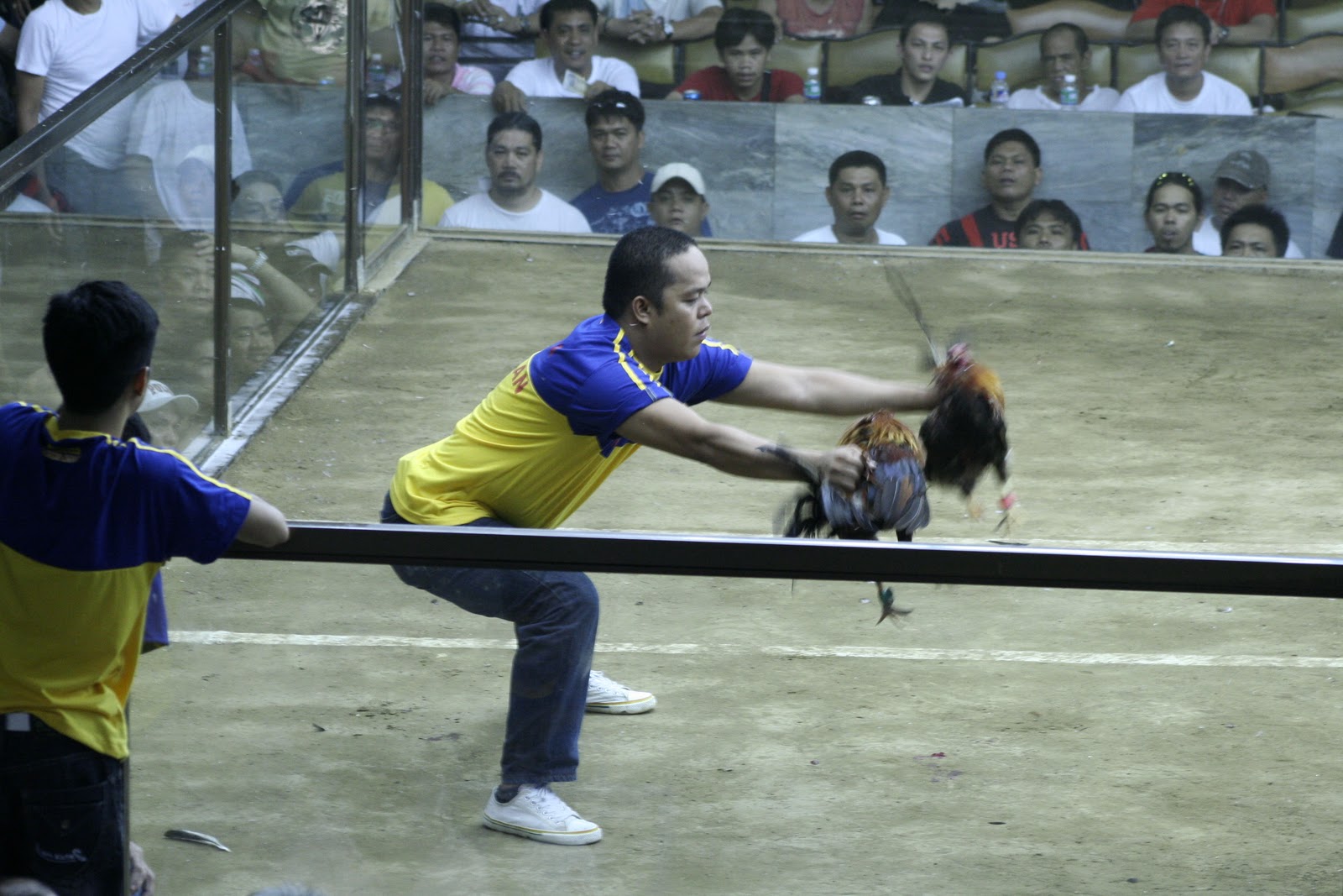 BANTAY-SABONG: CHAMPIONS : ROLIGON MEGA COCKPIT'S 2010 HATAWAN SA TAG-ULAN