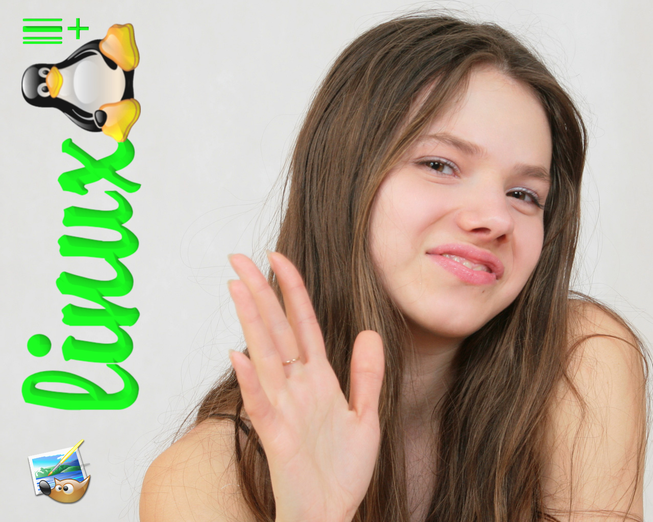 Sandra Model papel de parede-Gimp-Tux (image)