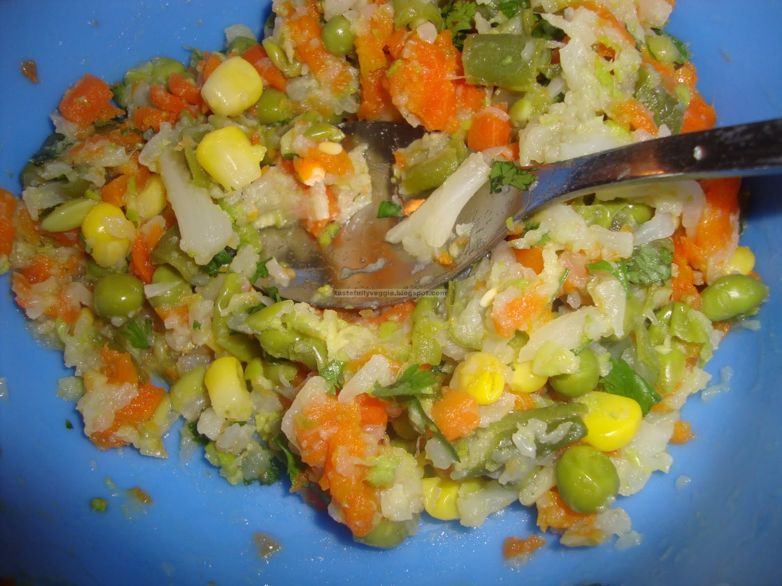 Tastefully Veggie ...: Vegetable Patties