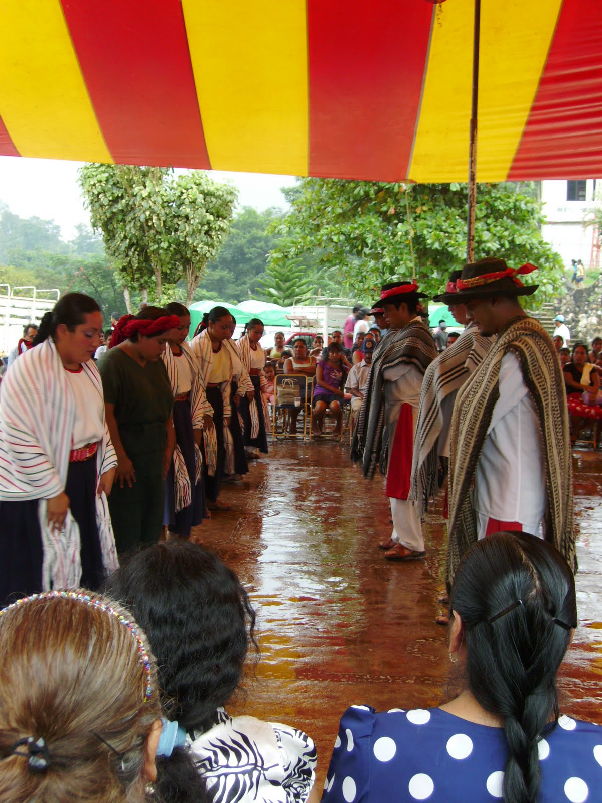 YOLOXOCHITL: TAMAZULAPAN, MIXISTLAN Y AYUTLA MIXE