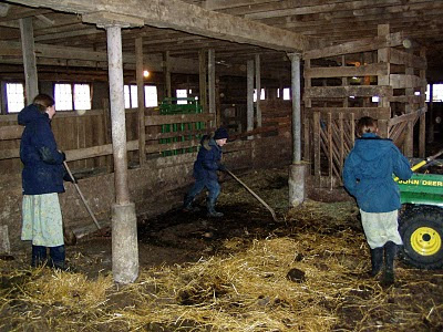FOUTFOLK: mucking out the barn