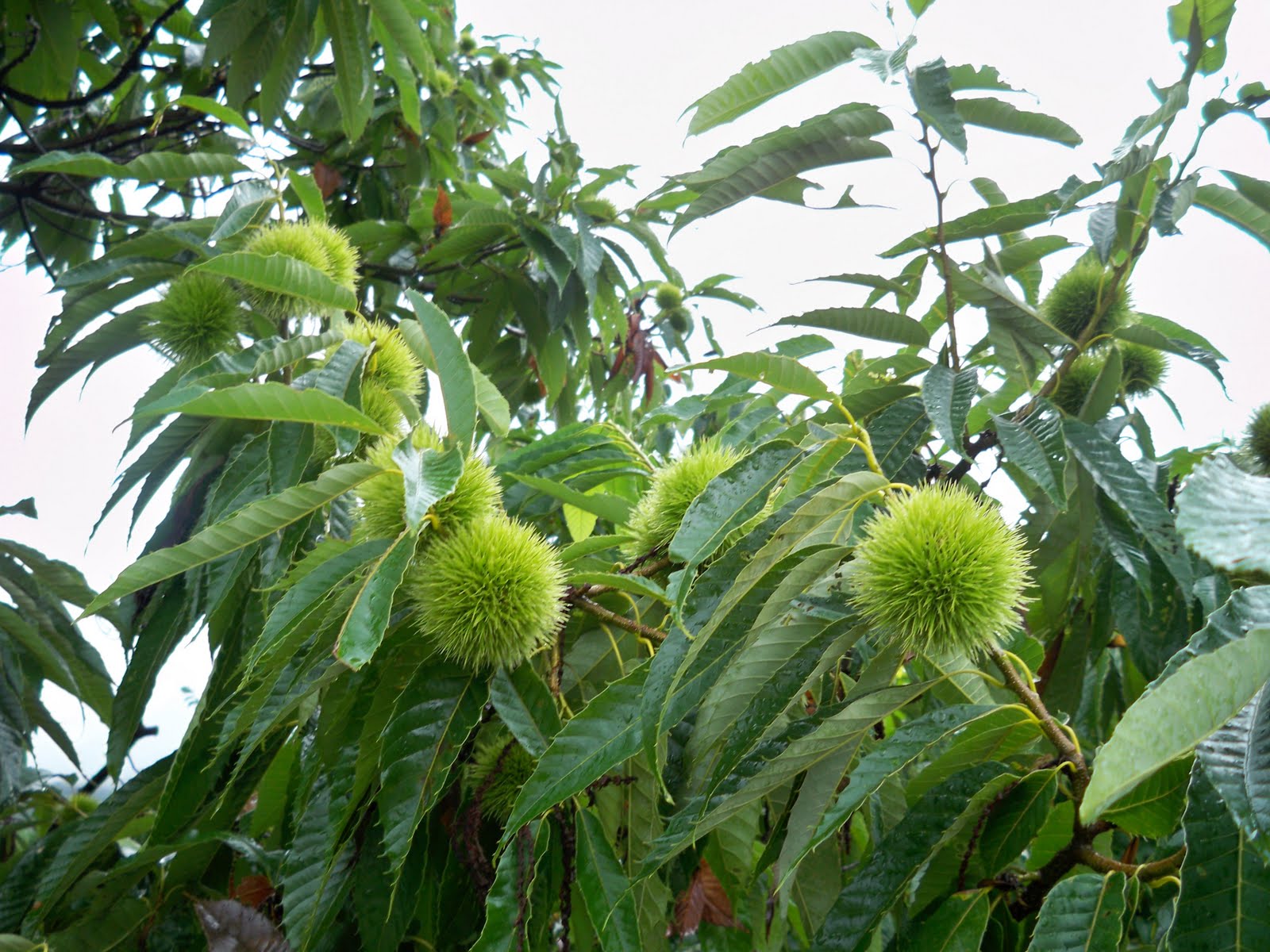 Jacob Zych's Blog: Magnificent Korea