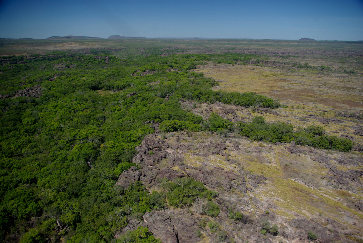 Gonzo Ecology: Arnhem Land