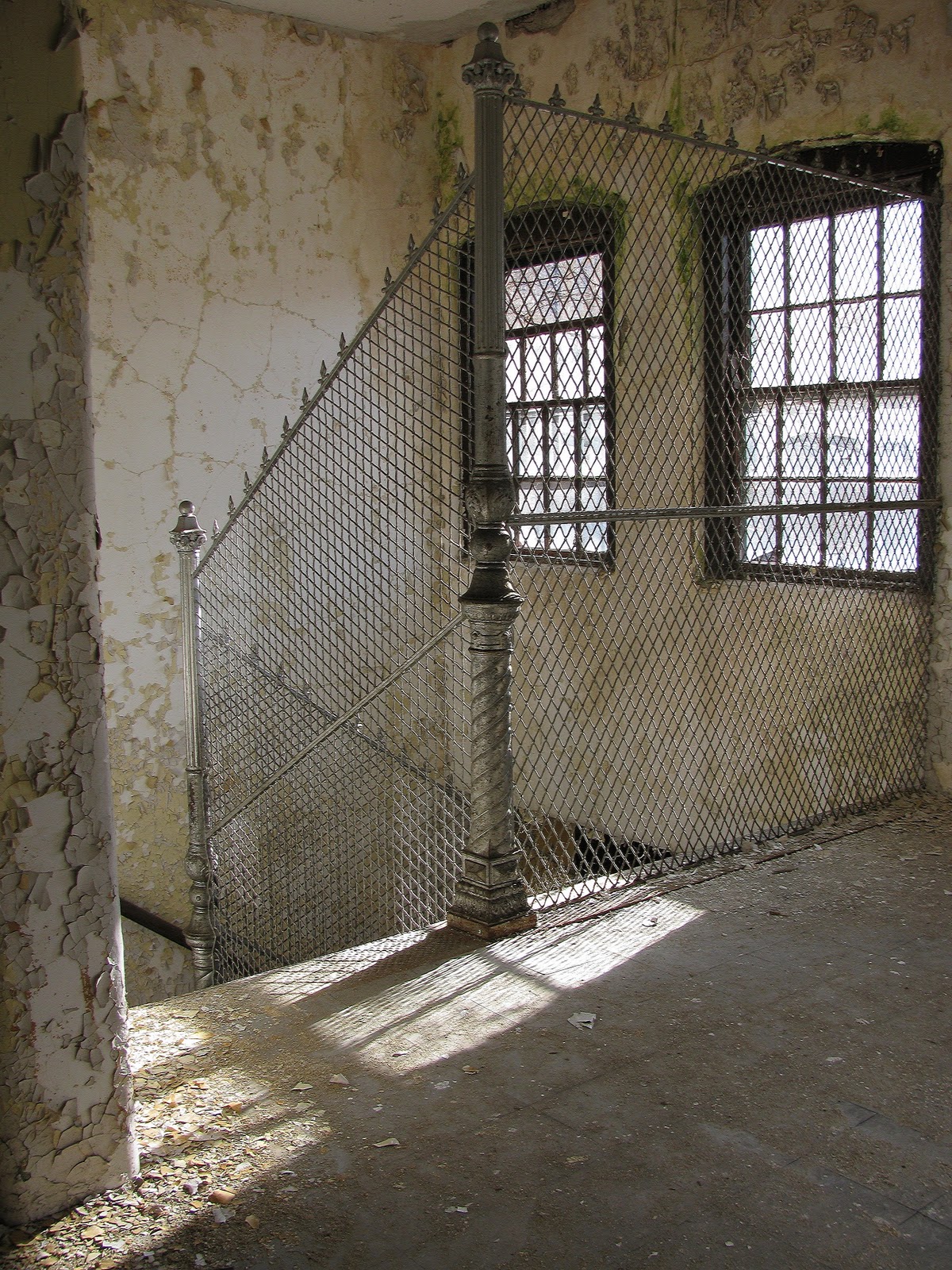 Abandoned Reflections: Madison State Hospital