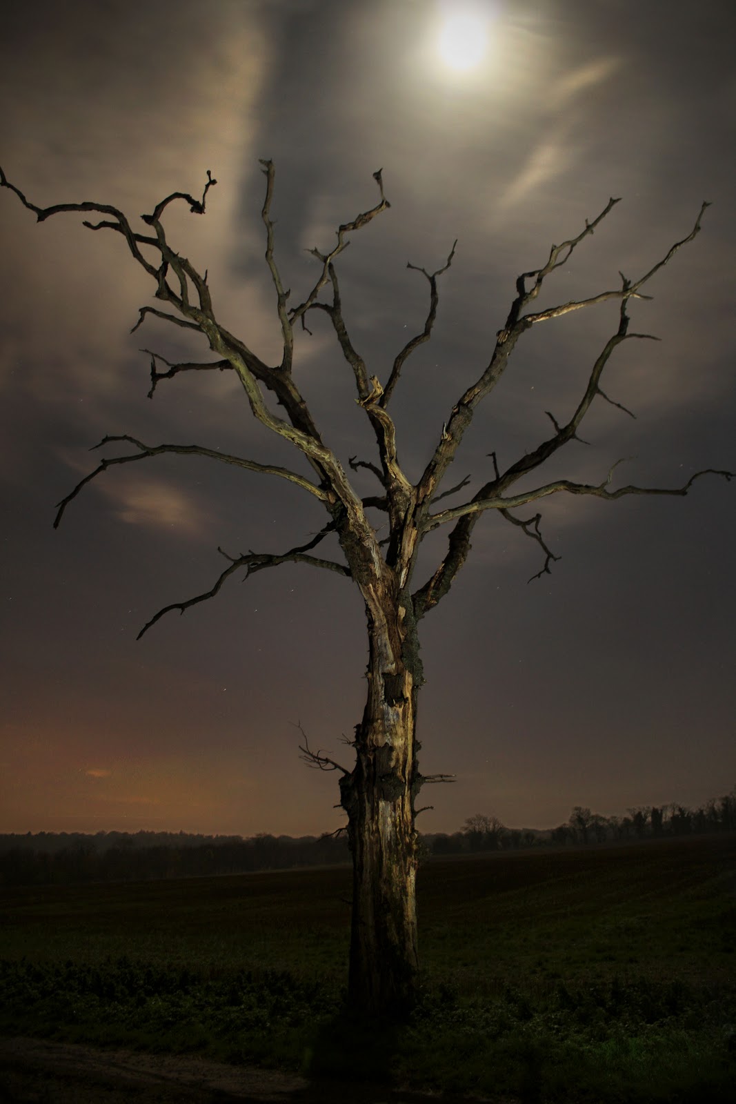 PHILIP MCINTOSH PHOTOGRAPHY