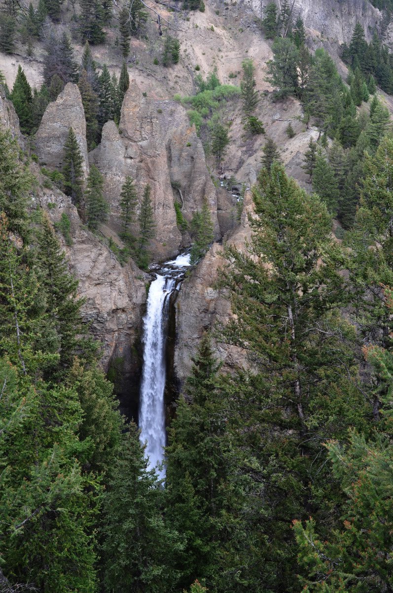A Tree Falling: Wyoming Scenery