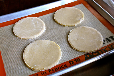 There's a Newf in My Soup!: Sparkling Shiraz and Blood Orange Tian