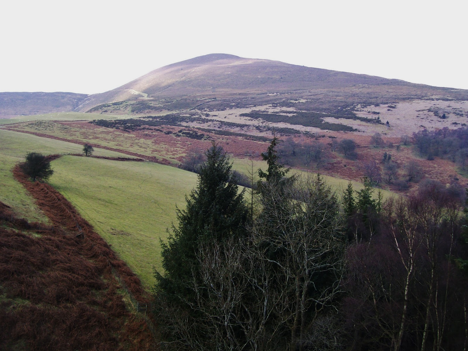 A Welsh man walking.: January 2011