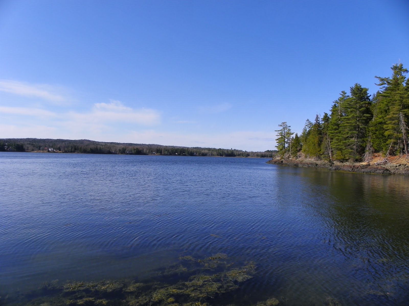 The Adventures of Joshua and Tilley: Spoon Island Afternoon Hike, Part ...