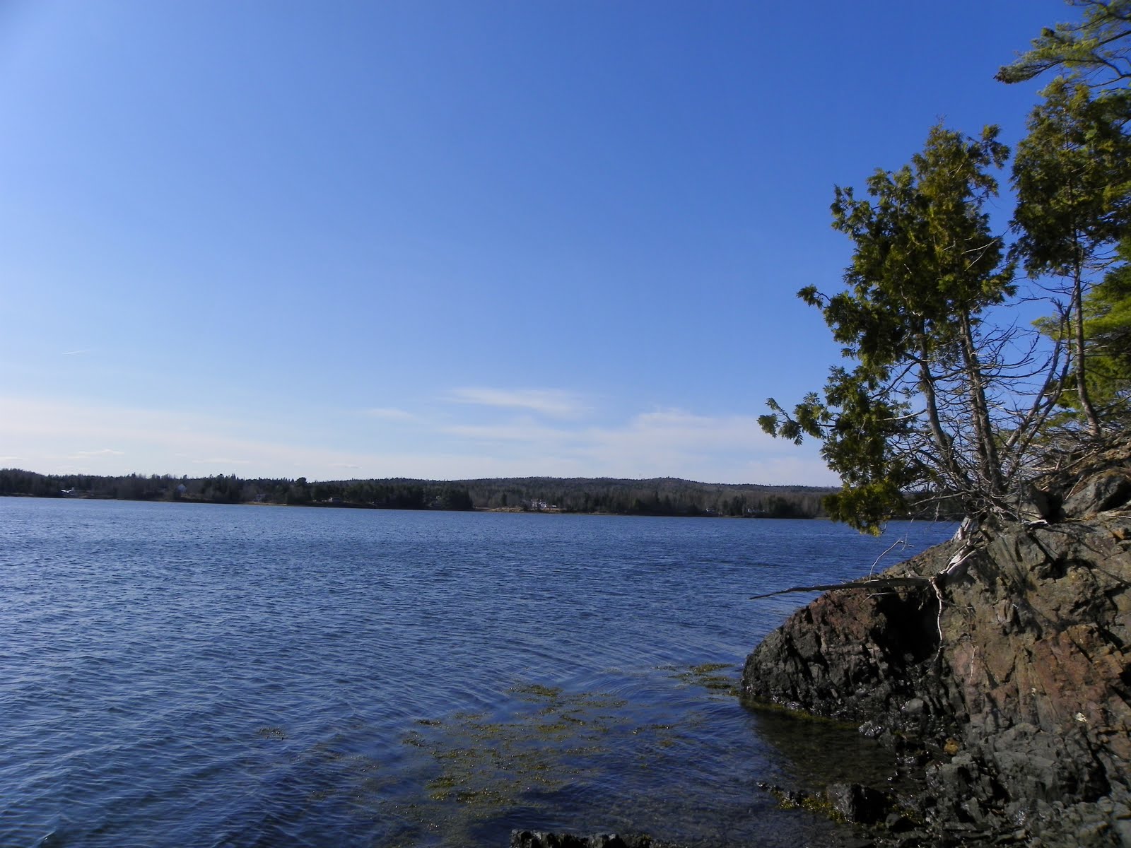 The Adventures of Joshua and Tilley: Spoon Island Afternoon Hike, Part ...