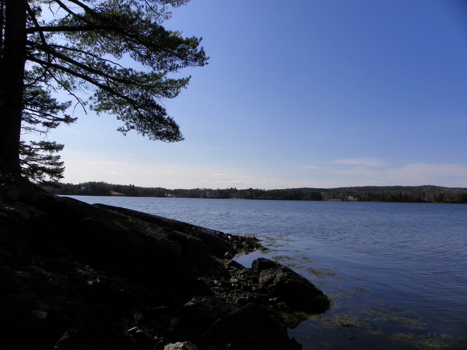 The Adventures of Joshua and Tilley: Spoon Island Afternoon Hike, Part ...
