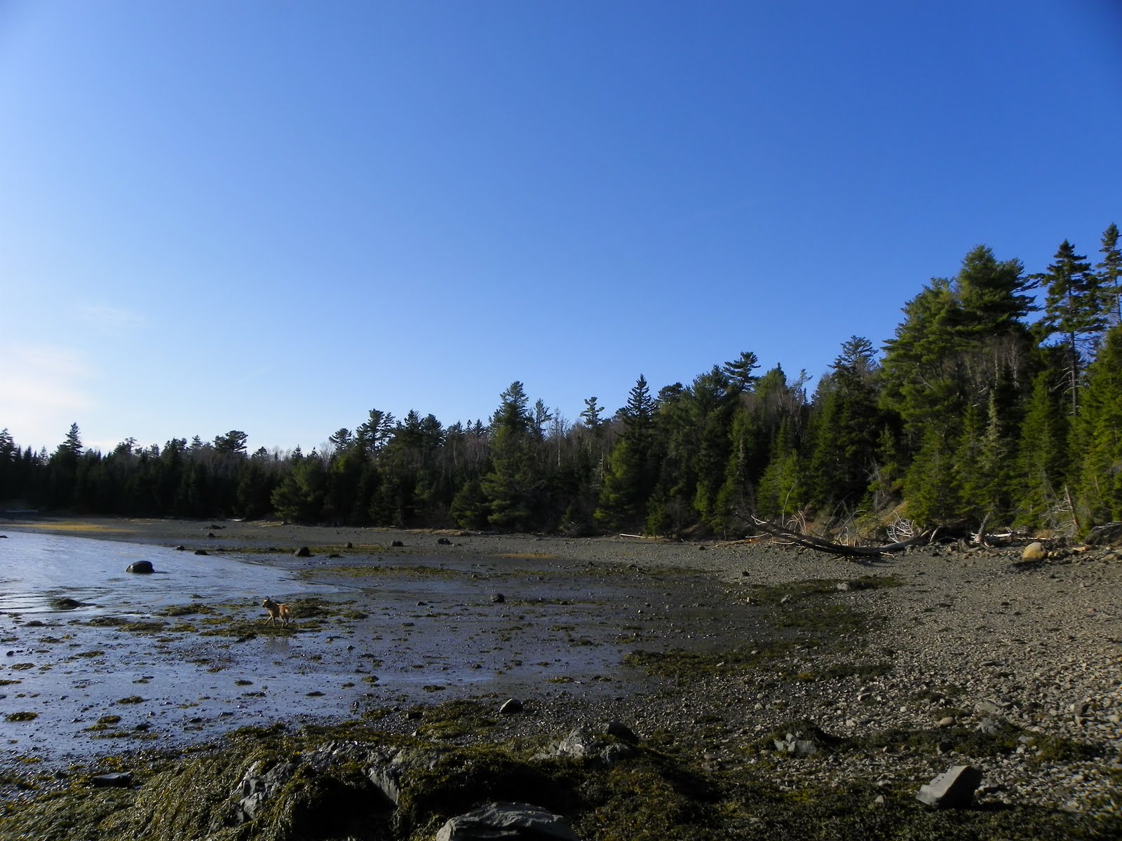 The Adventures of Joshua and Tilley: Spoon Island Evening Hike, Part 3 ...