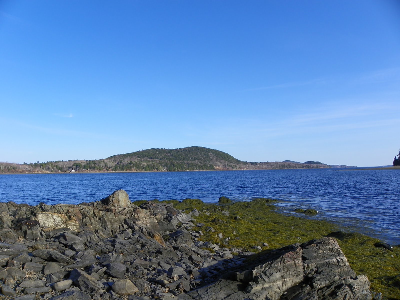 The Adventures of Joshua and Tilley: Spoon Island Evening Hike, Part 3 ...