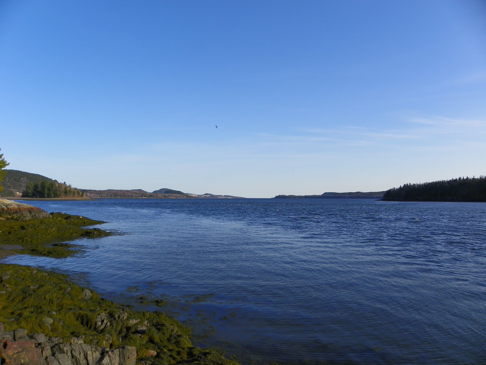 The Adventures of Joshua and Tilley: Spoon Island Evening Hike, Part 4 ...