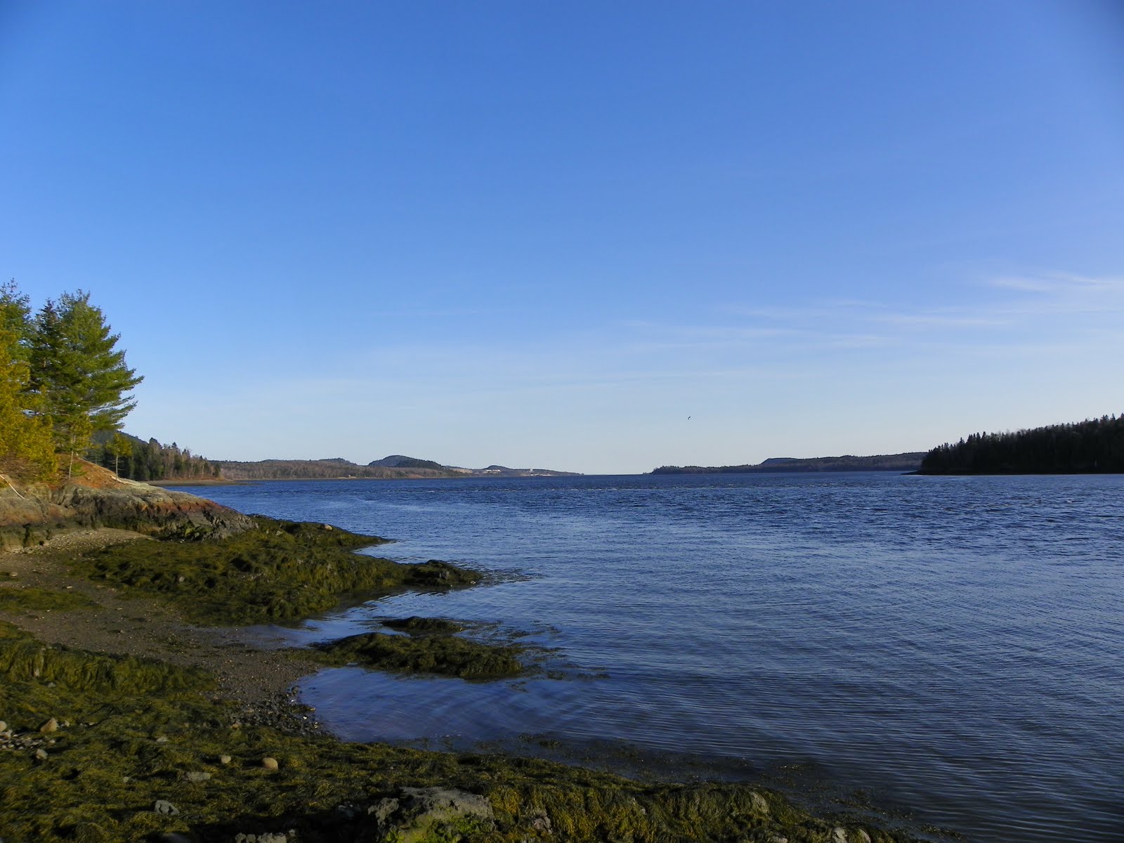 The Adventures of Joshua and Tilley: Spoon Island Evening Hike, Part 4 ...