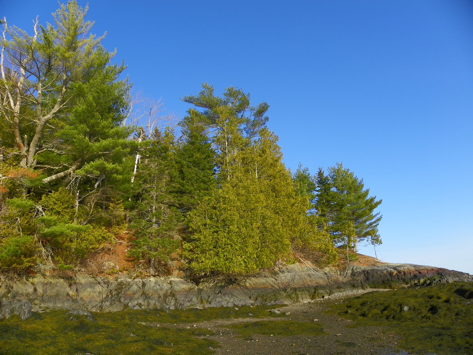 The Adventures of Joshua and Tilley: Spoon Island Evening Hike, Part 4 ...