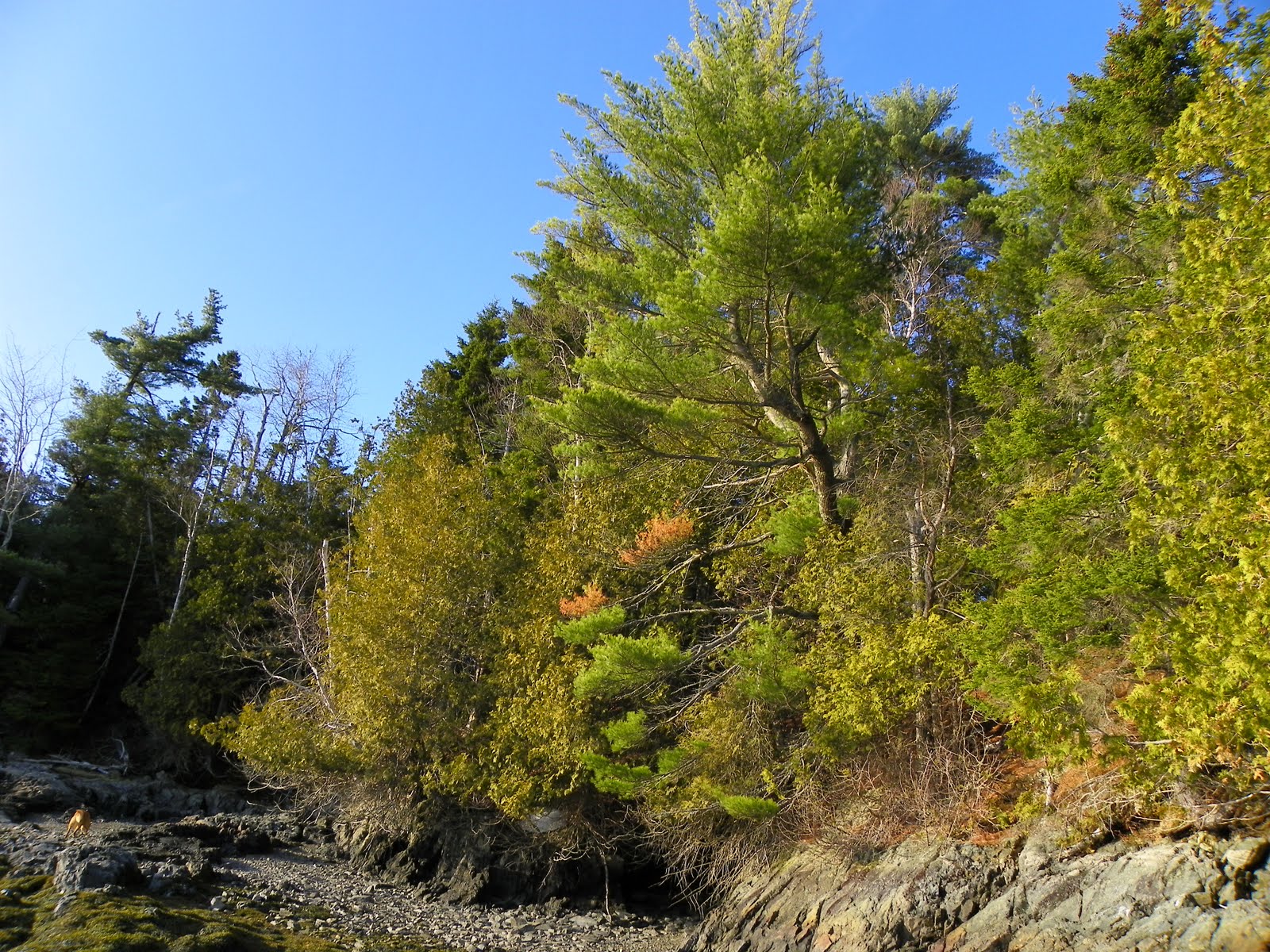 The Adventures of Joshua and Tilley: Spoon Island Evening Hike, Part 4 ...
