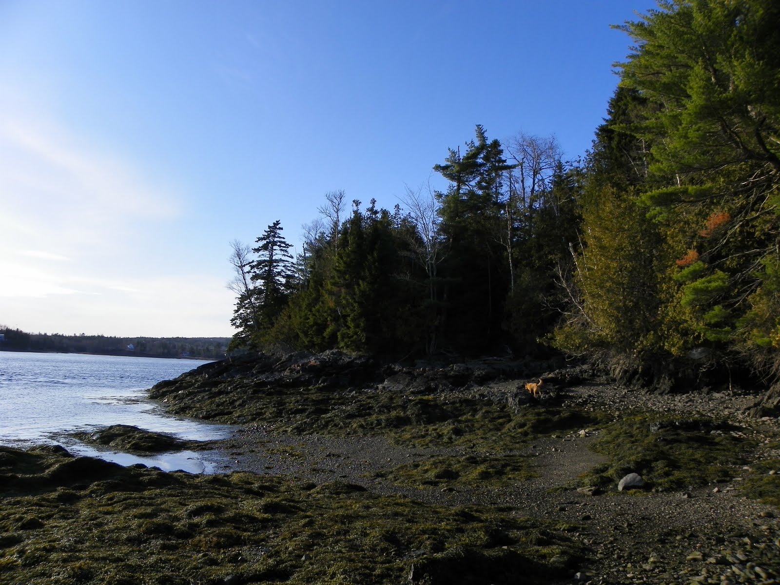 The Adventures of Joshua and Tilley: Spoon Island Evening Hike, Part 4 ...